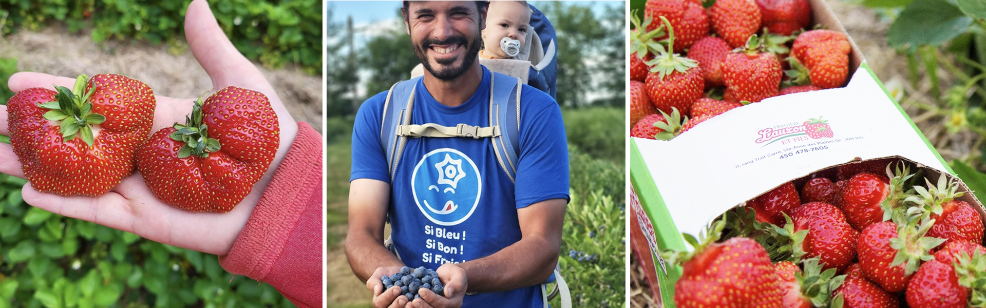 L'autocueillette à la ferme | Laurentides