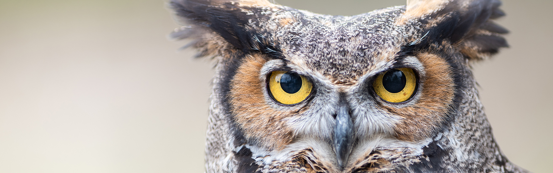 Visite guidée au Zoo Ecomuseum | Montréal