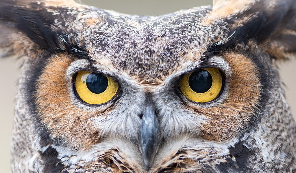 Visite guidée au Zoo Ecomuseum | Montréal