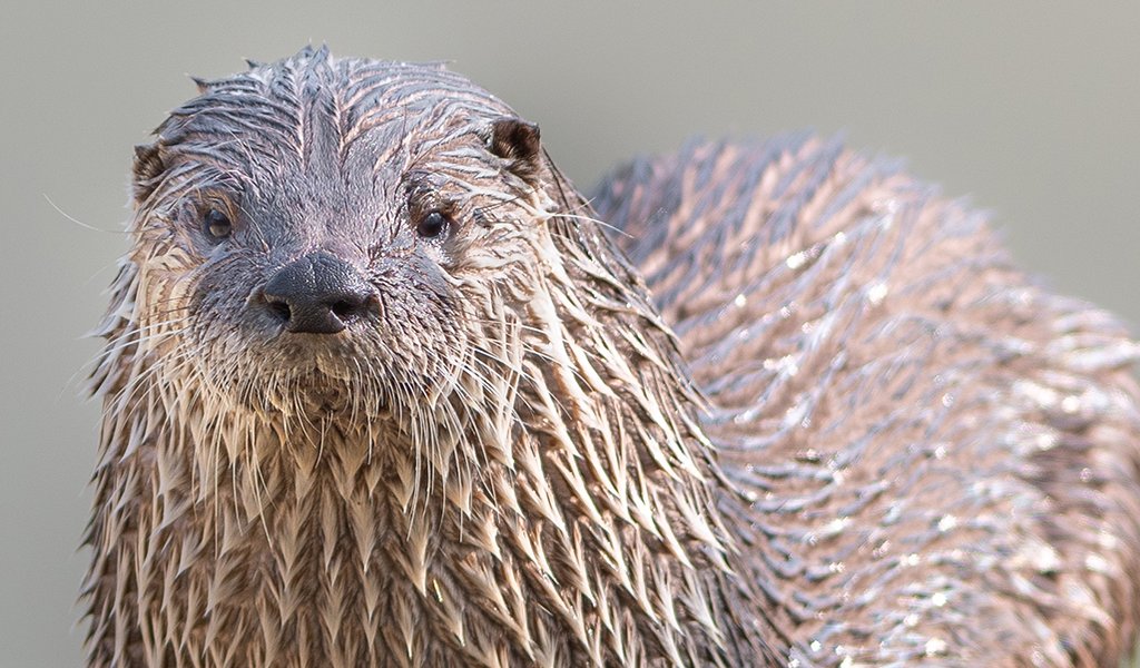 Visite guidée au Zoo Ecomuseum | Montréal