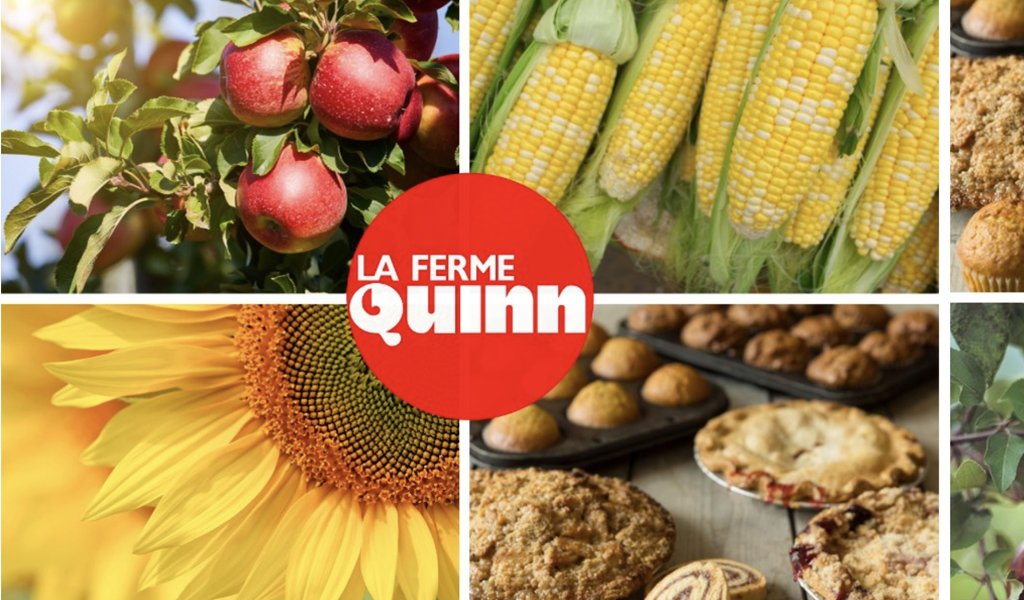 Autocueillette à la ferme Quinn | Montréal